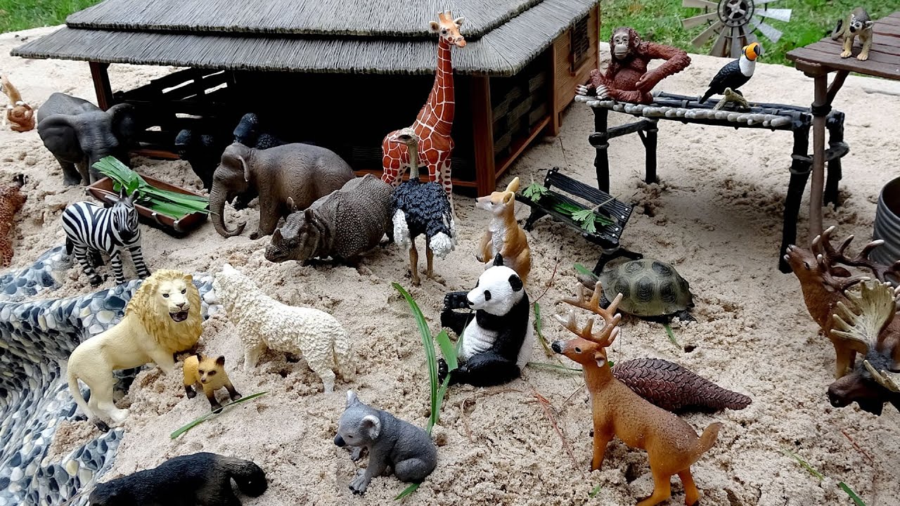 Wild Animals Toy Collection - YouTube