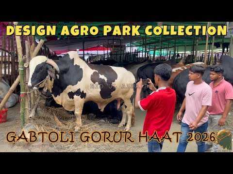 Design Agro Park Collection - EID UL AZHA 2025- Gabtoli Gorur Haat- EID UL AZHA BD#viralvideo