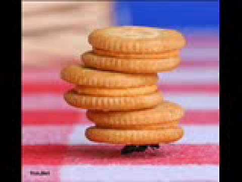 Skype Telefon ingilizce şaka konuşma azeri adam ile