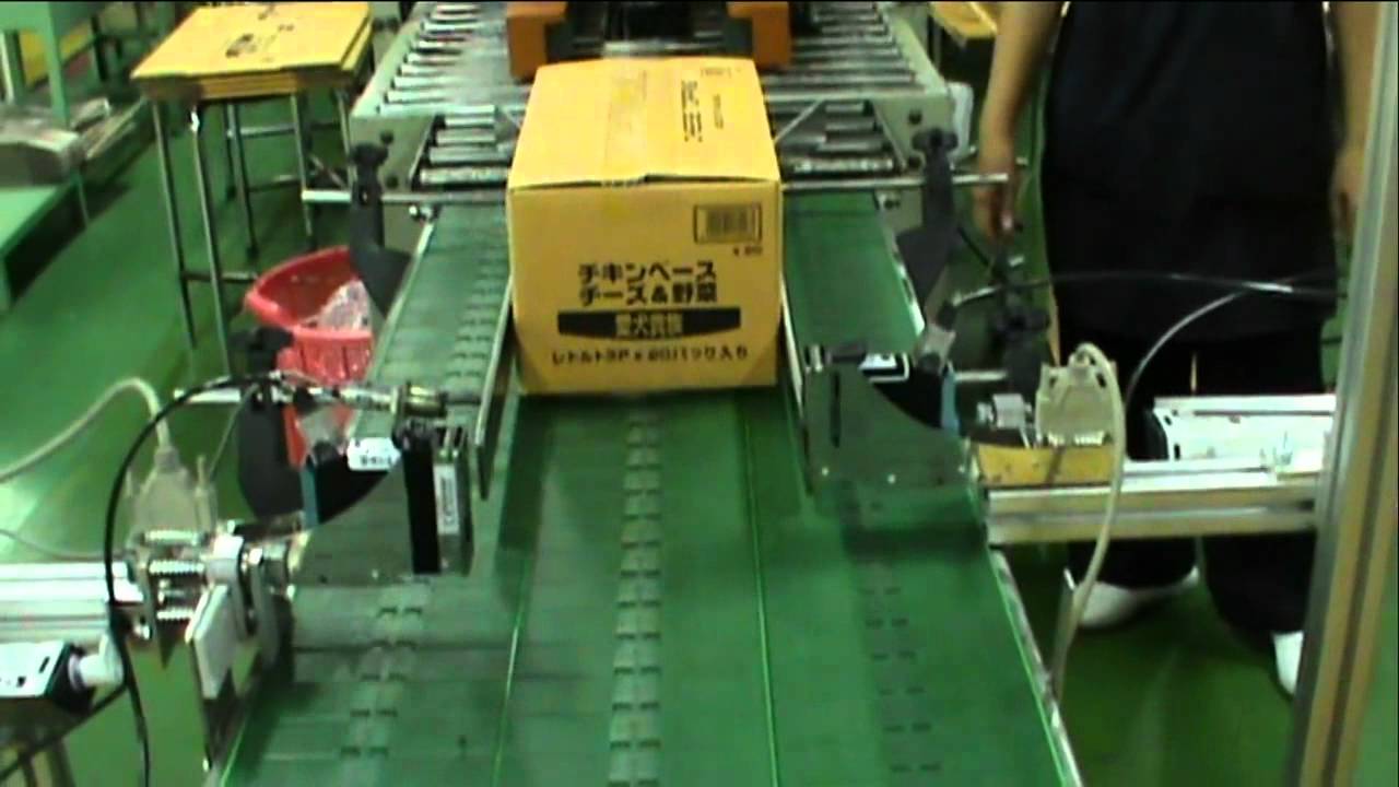Carton Coder by HSA INKJET PRINTER for Animal Feed - YouTube