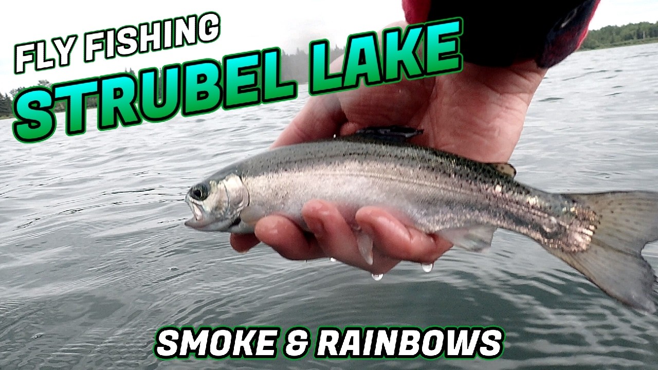 Smoke & Rainbows ║ Fly Fishing - YouTube