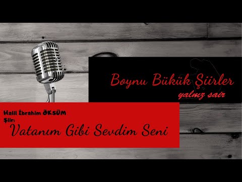 Vatanim Gibi Sevdim Seni