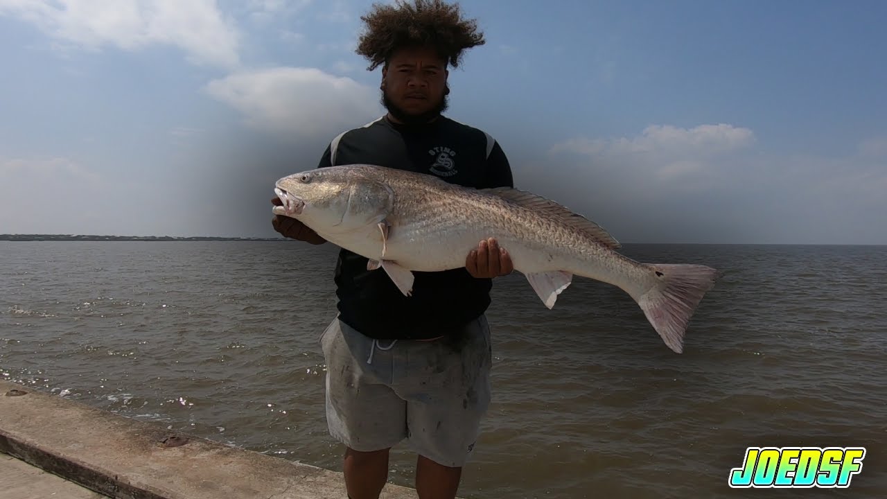 Massive Redfish Just Can’t Resist This Type Of Bait - YouTube