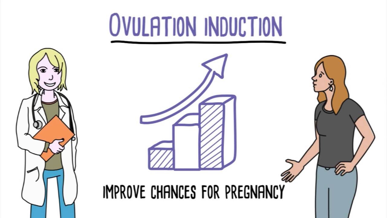 Ovulation Induction Overview from US Fertility Network (877) 977-2959 ...