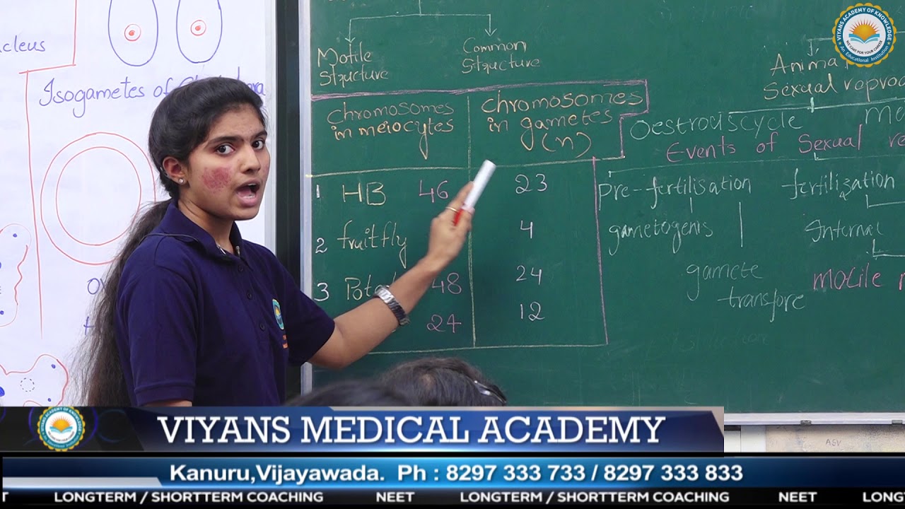 VIYANS MEDICAL ACADEMY - SAMEENA SHAIK - YouTube