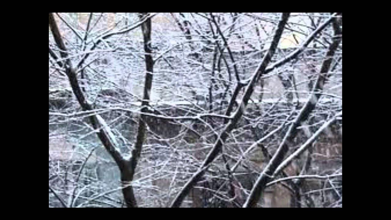 Claude Debussy-"The snow is dancing"/Children's corner/(1908)S.Ciomei ...