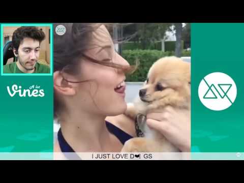 GÜLMEME CHALLENGE (Amanda Cerny Vine)