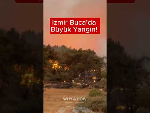 İzmir, Buca'da Yine Yangın. Her Yeri Sardı! #izmir #buca #yangın #sondakika #gündem #haber