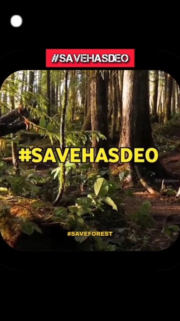 "How We Can Save Our Forests: Protecting Hasdeo & Hyderabad's Natural ...