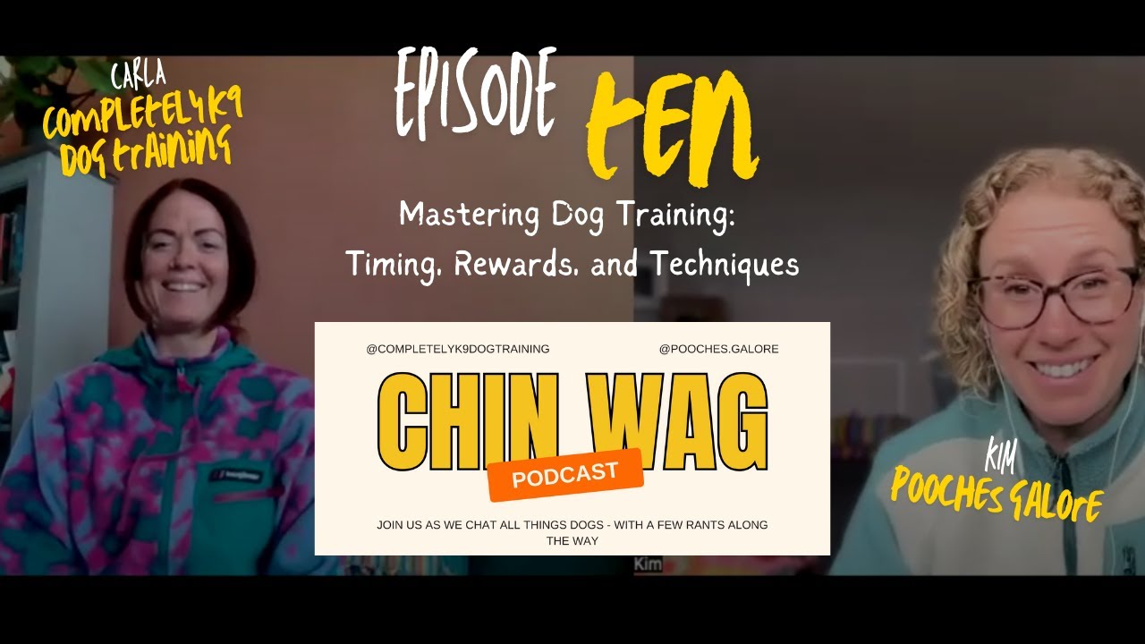Episode 10 - Mastering Dog Training: Timing, Rewards, and Techniques ...