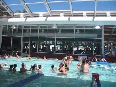 HOKEY - POKEY - YouTube