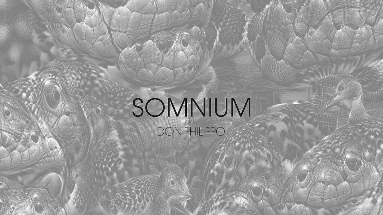 Deep Dream animation: Somnium 1 - YouTube