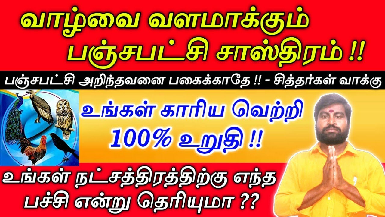 வாழ்வை வளமாக்கும் பஞ்சபட்சி சாஸ்திரம் பார்ப்பது எப்படி | Panchapatchi ...