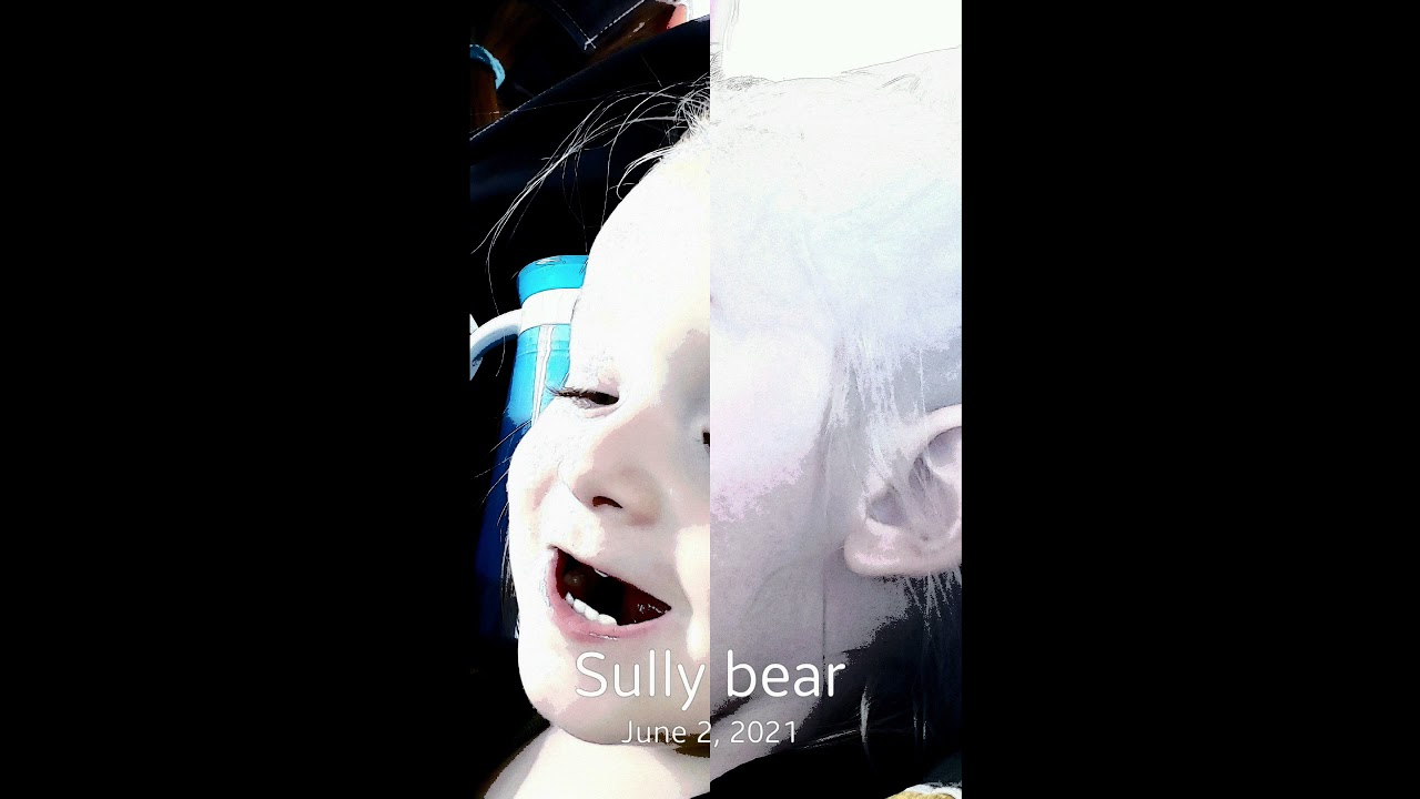 Sully bear 🐻 - YouTube