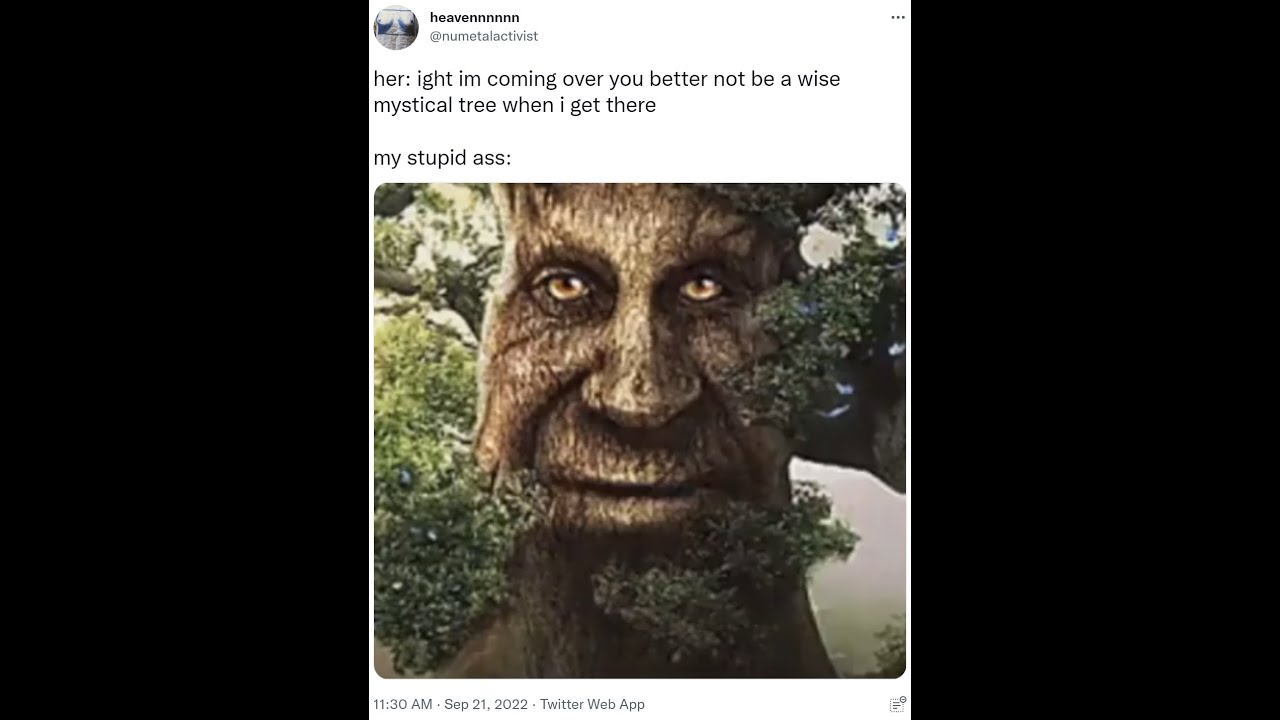 memes that will make you talk to a legendary tree || Regular memes 10 ...