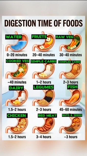 DIGESTION TIME OF FOODS #shorts #food #nutritiontips #healthtips # ...