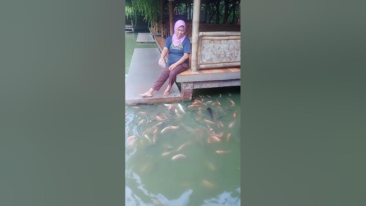 Kolam Ikan RM restoran lesehan Saung Rawa Lele kec Kali Deres Jakarta Barat - YouTube