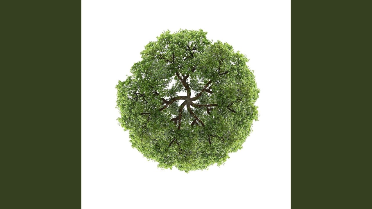 Let Them Eat Static - YouTube