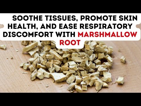 12 BENEFITS OF  MARSHMALLOW ROOT FOR HEALTH
