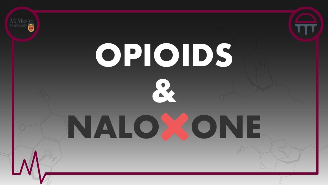 Reversing Opioid Overdoses: Naloxone and How it Works - YouTube