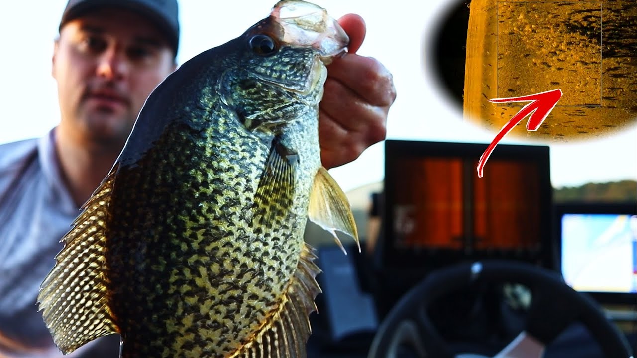How to use Side Imaging to find Crappie in the Fall - YouTube