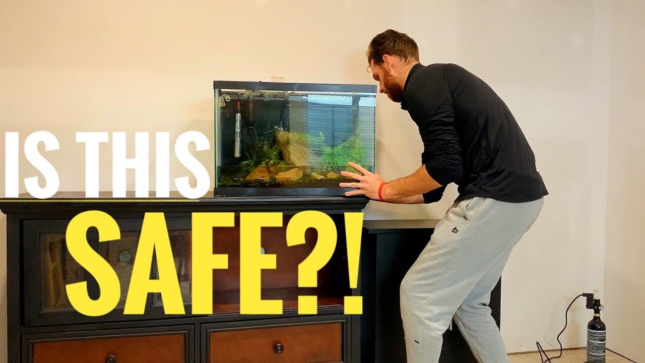 HOW TO move a FISH TANK safely | Beautiful Planted Aquarium Cinematic ...