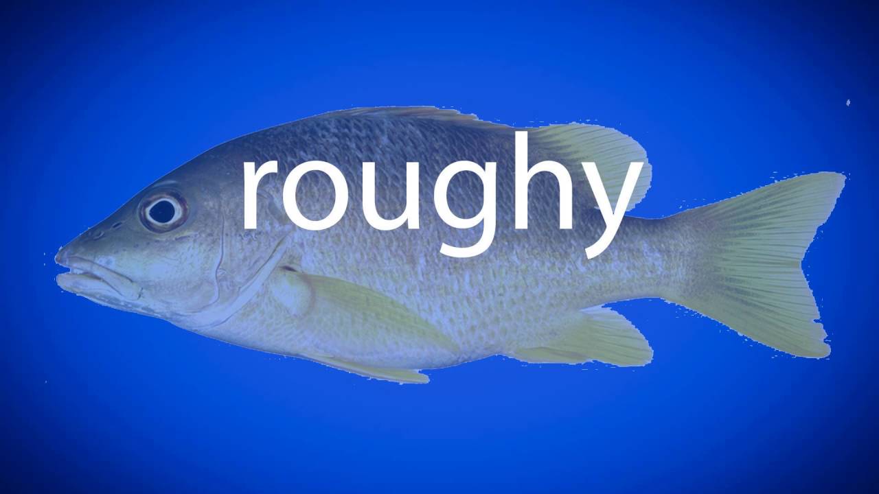 How to pronounce roughy - YouTube