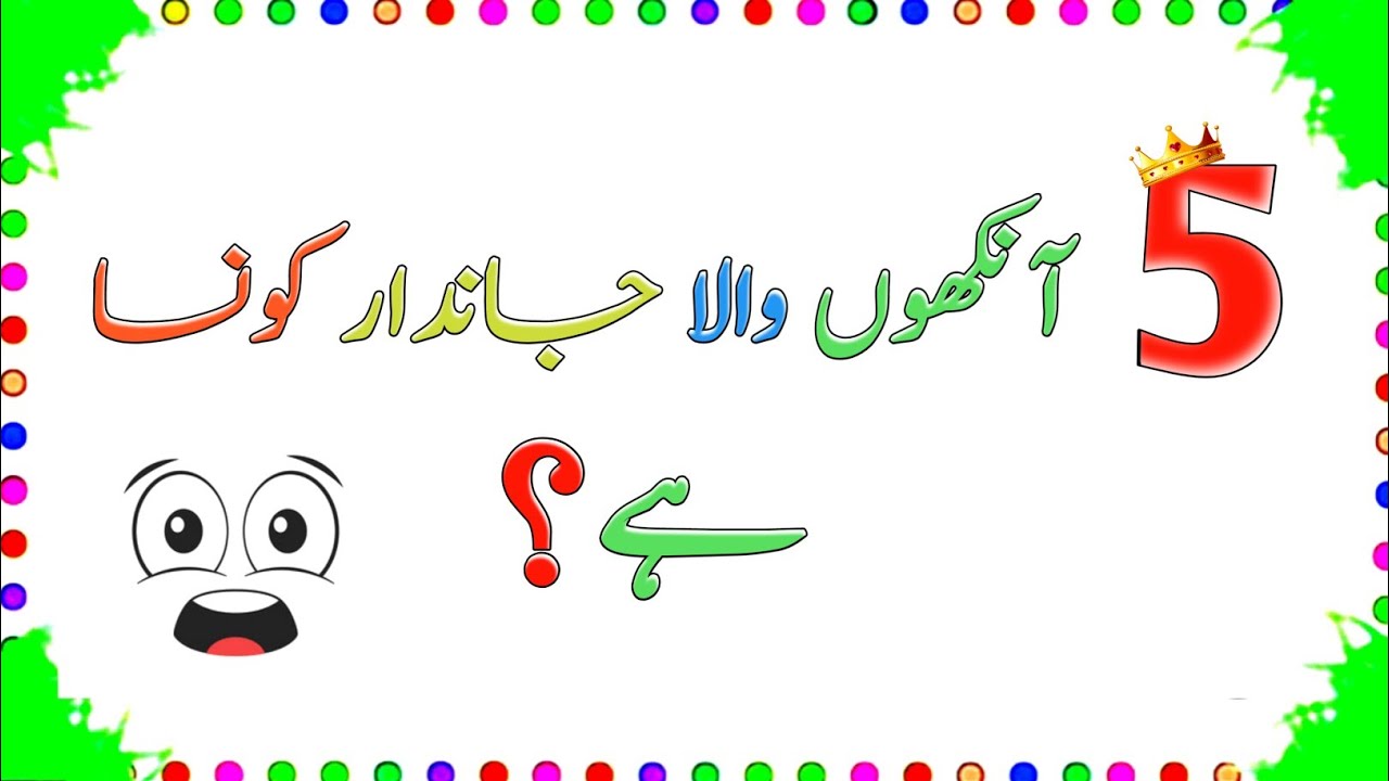 #riddles in urdu with answers || paheliyan in urdu with answer - YouTube