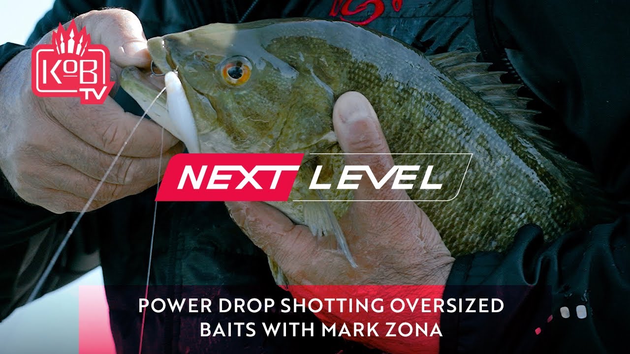 Power Drop Shotting Oversized Baits with Mark Zona [NEXT LEVEL] - YouTube