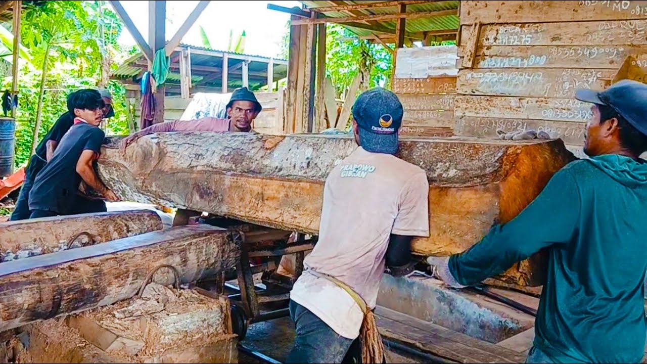 Incredible Sawmill Operations Largest Wood Processing Ever - YouTube