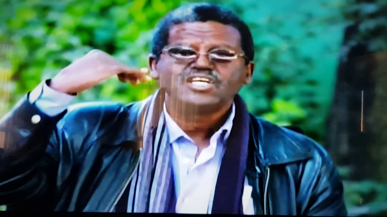 Zenebe Wola's comment on Amharic Translation of "Born a Crime" Book on ...