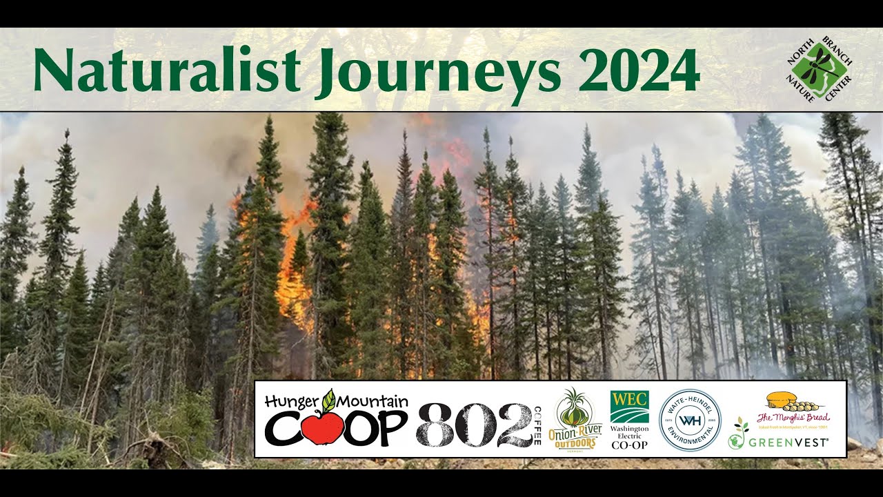 Under the Smoke: Boreal Forest Wildfire, Ecology, and Culture in ...
