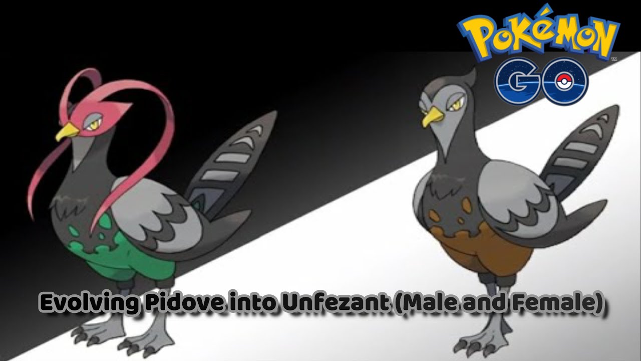 Pidove Pokemon Evolution