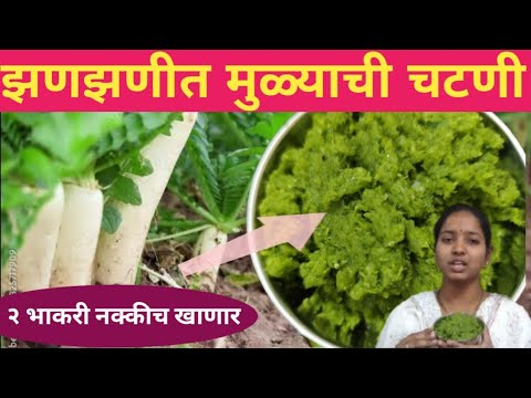 मस्त झणझणीत मुळ्याची चटणी l Mulyachi Chutney l Sonali's Kitchen - YouTube