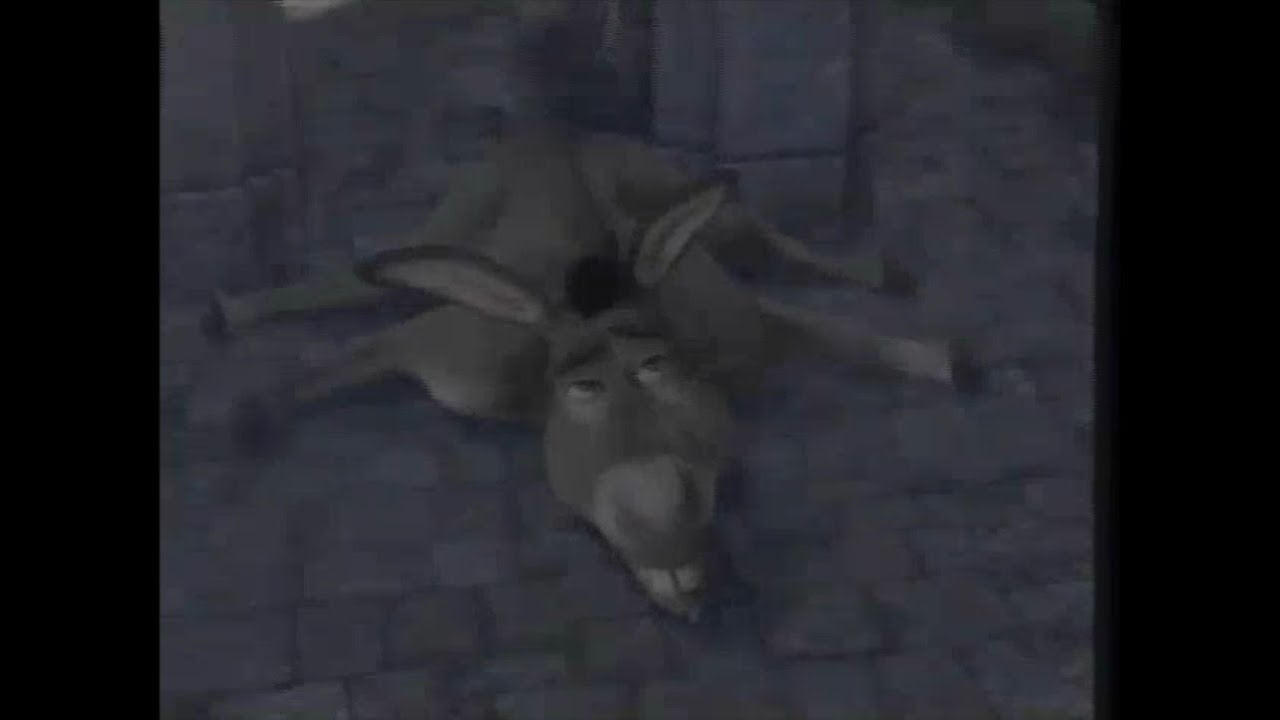 Shrek: Donkey (2001) (VHS Capture) (18) - YouTube