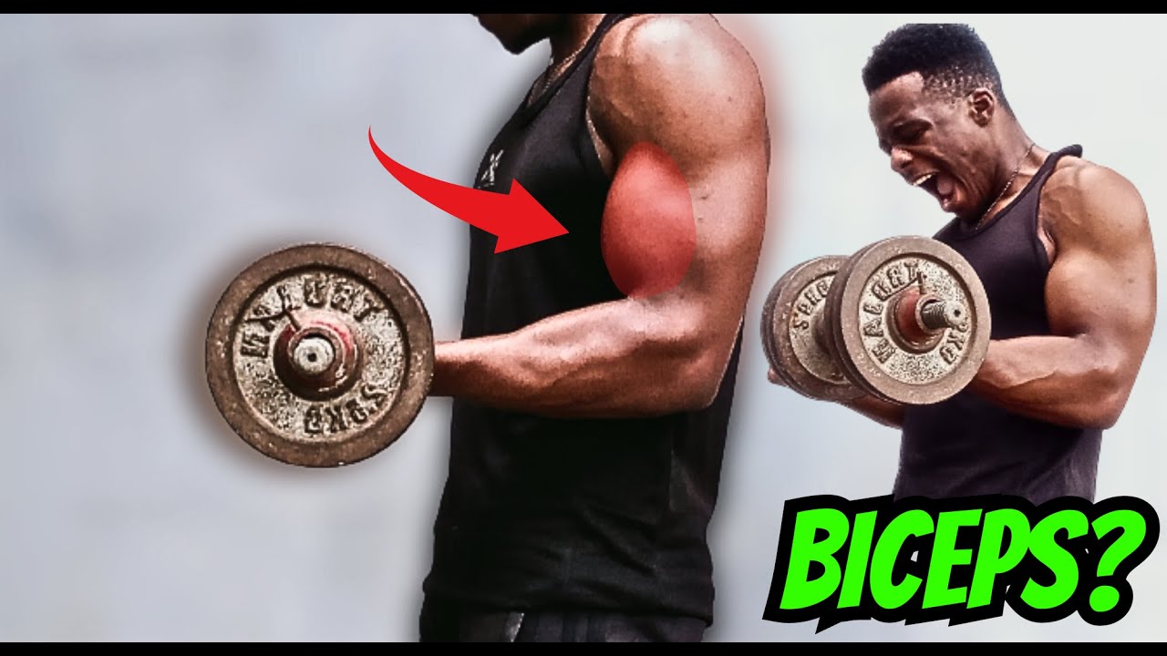 WHY ARE YOU NOT DOING THIS FOR YOUR BICEPS? | BICEPS TOP TIP - YouTube