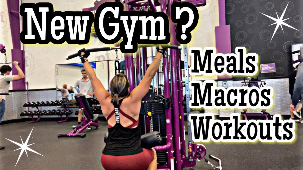 FULL DAY OF MEALS & WORKOUTS FOR FAT LOSS | IN WITH JEN - YouTube