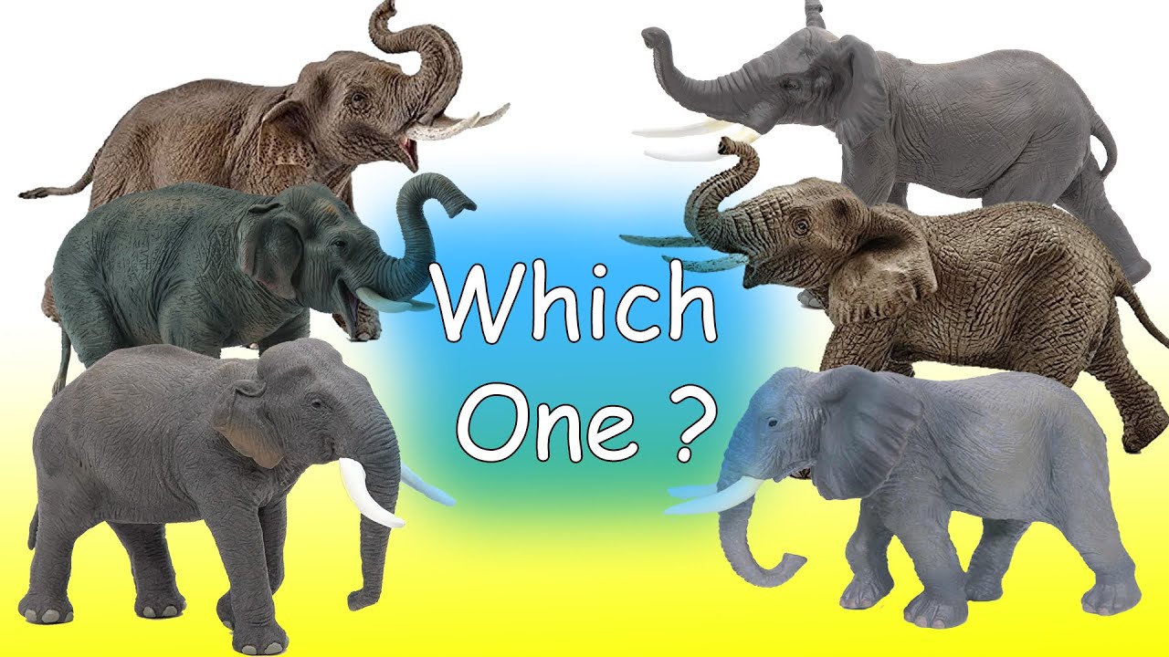 Schleich vs Papo vs CollectA / What's your Favorite Elephant ? - YouTube