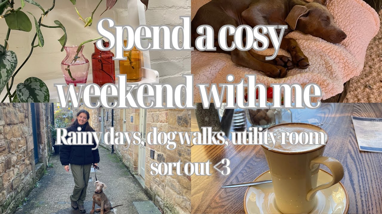Spend a cosy weekend with me 🌧️🕯️🐾🪴| rainy days, long walks, utility ...