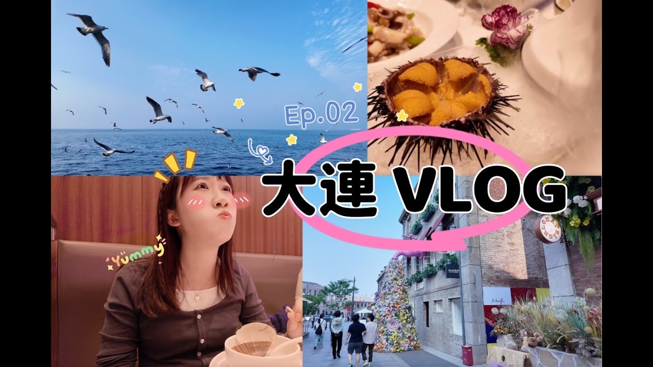 大連VLOG02丨每天都要吃海膽！零踩雷的海鮮餐廳丨海邊餵海鷗丨某書網紅店也是讓我吃到了 - YouTube