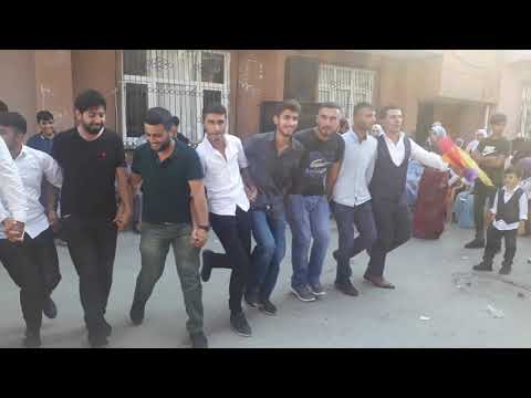 Bitlis adana düğünü kapmalik
