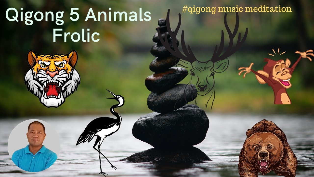 Qigong 5 Animals Frolic Routine - Qigong Music Background for ...