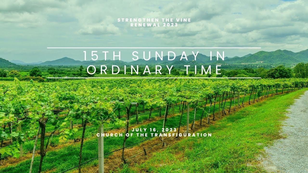 15th Sunday in Ordinary Time (7/16/23) - YouTube