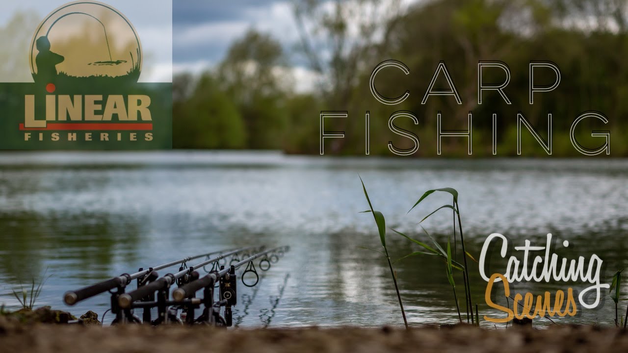 Linear Fisheries - Carp Fishing - Guy's Syndicate - Yeomans Lake ...