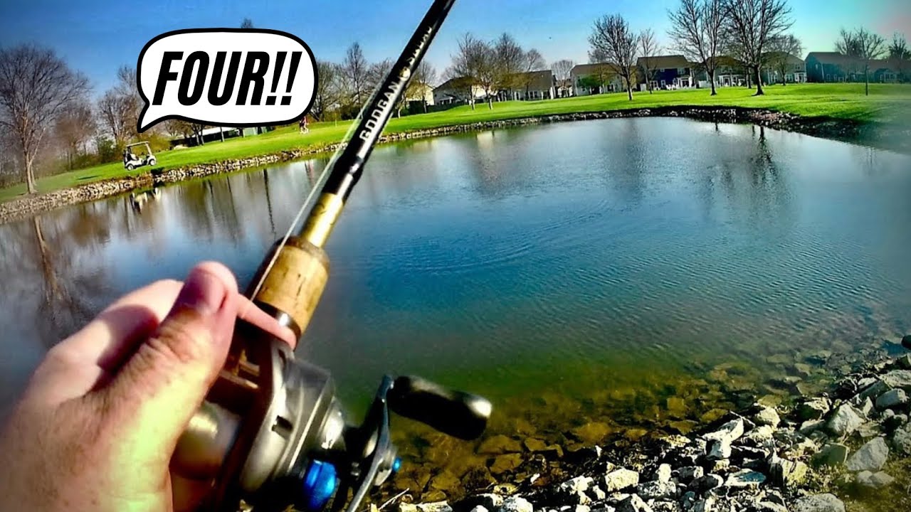 Fishing GOLF COURSE PONDS For Big Bass! - YouTube