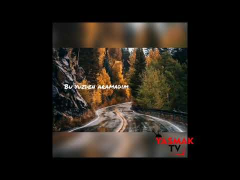 Bu yüzden Aramadım kimseyi