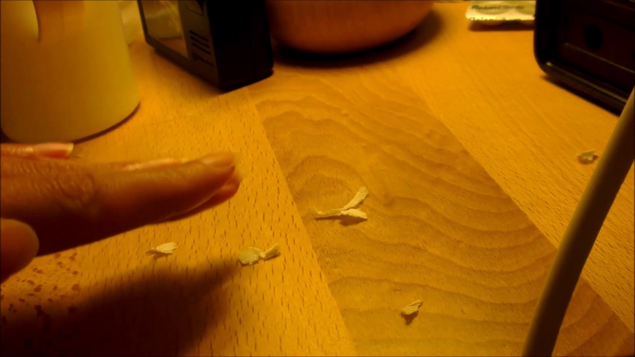 Static electricity, bits of paper - YouTube