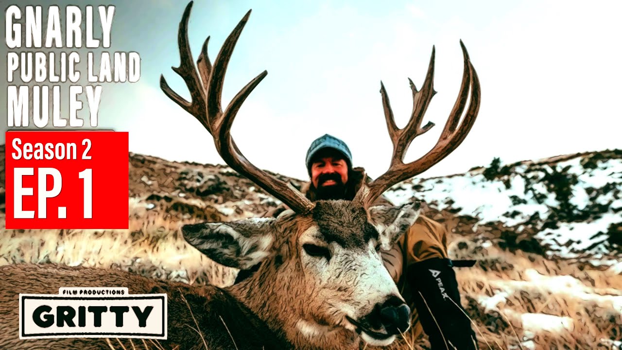 SEASON 2 | EP 1 | GNARLY PUBLIC LAND MULEY | GRITTY FILMS | 4K - YouTube