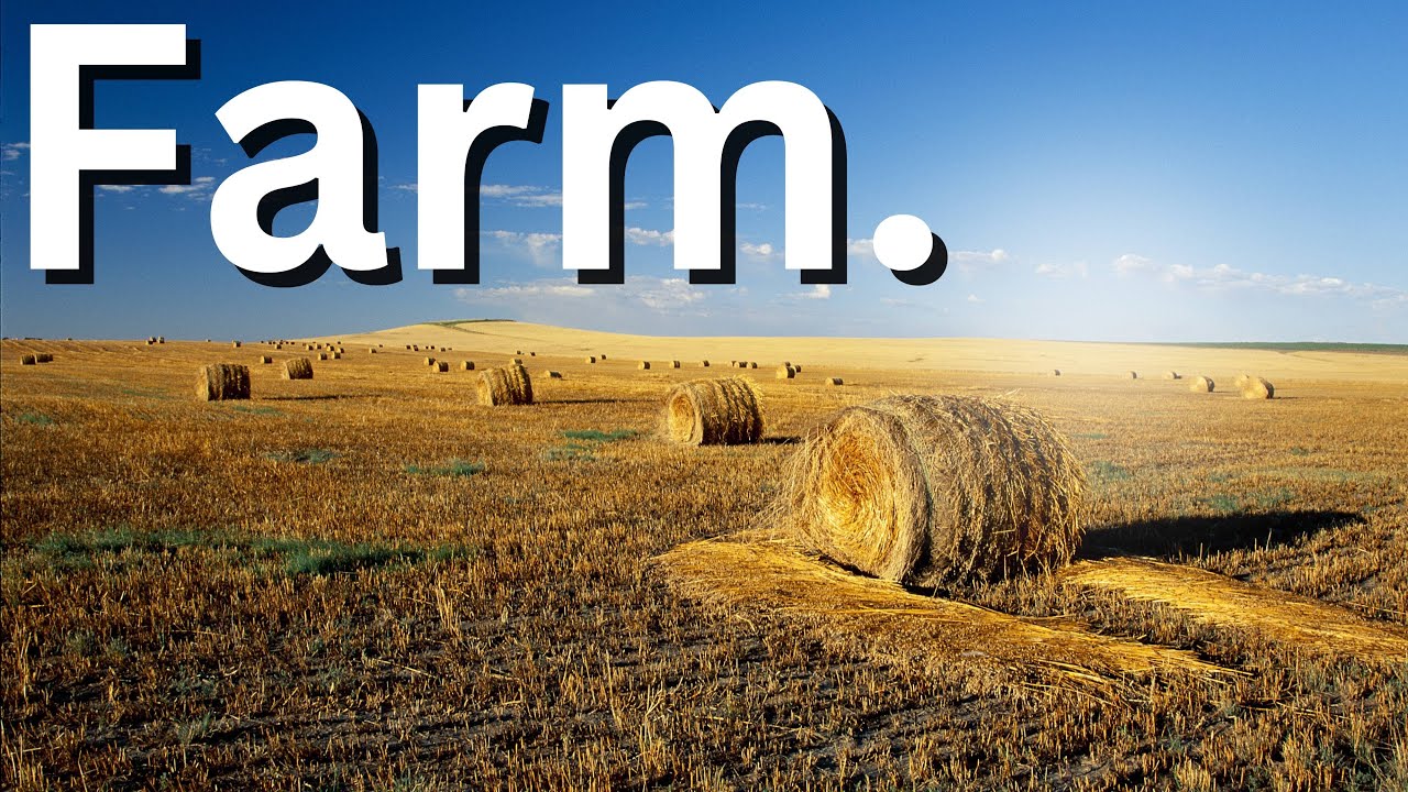 The Trading Farmer on the FARM! - YouTube