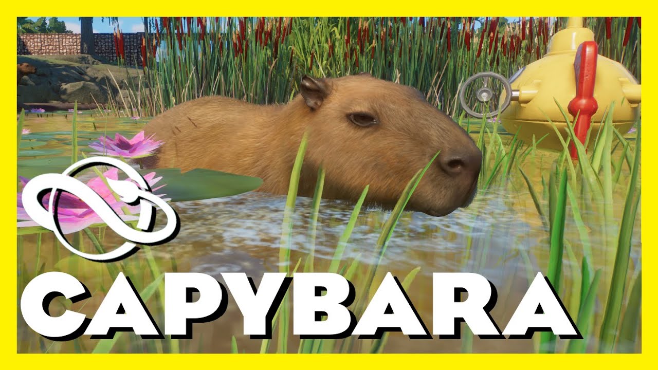 CAPYBARA HABITAT!!! | Planet Zoo | Panthera Zoo Episode 8 🌲 - YouTube